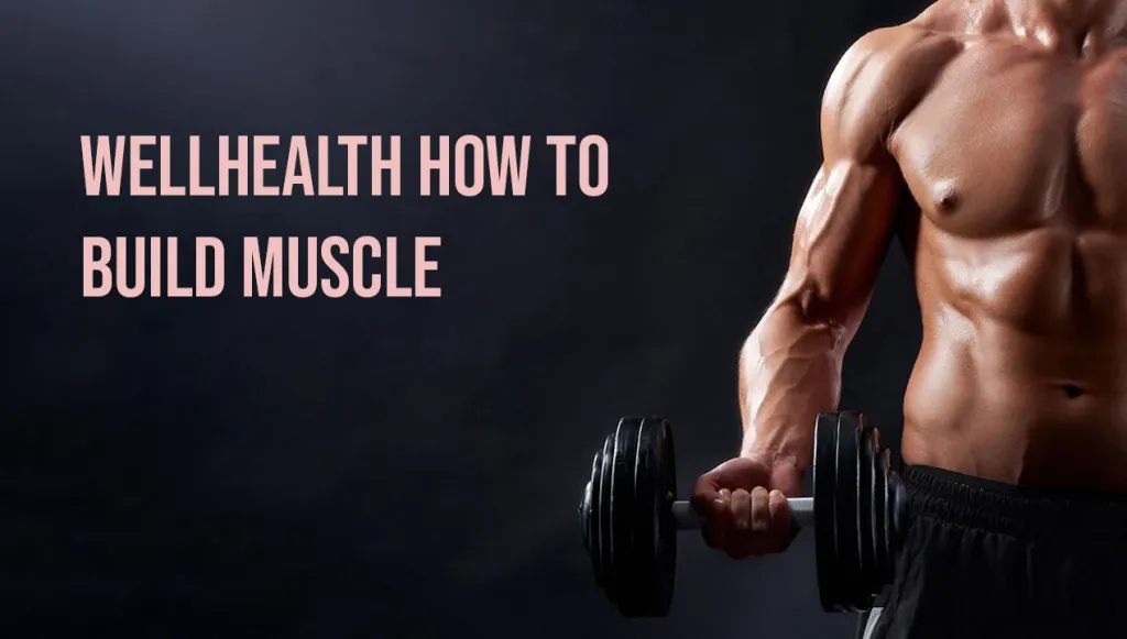 Wellhealth How To Build Muscle Tag – Complete Guide – Blog Angle - blooket